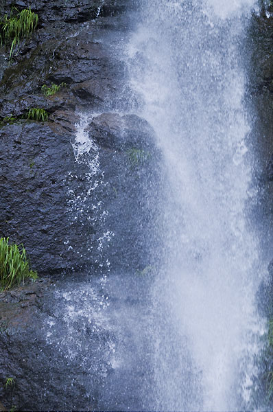 유토이미지 | 36014-0002200