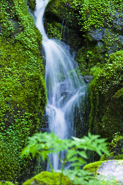 유토이미지 | 36014-0002217