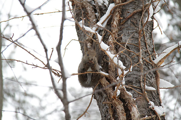 유토이미지 | 36025-0000007