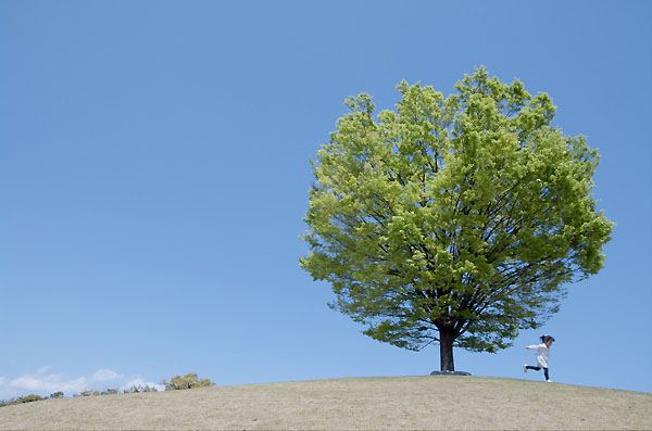 유토이미지 | 36042-0000301