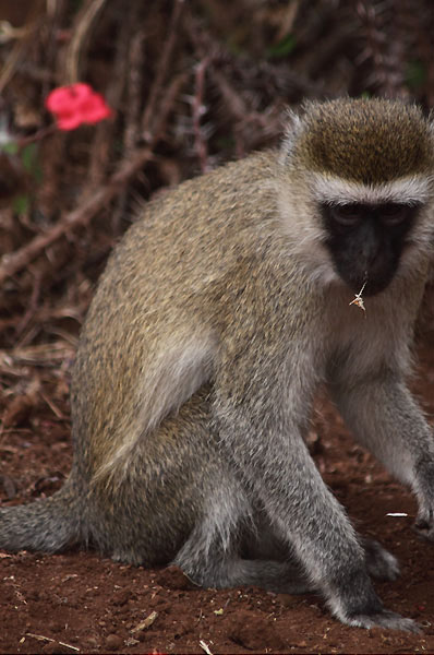 유토이미지 | 상세페이지 | 베이직샵 | 16041969 | 36052-0000004