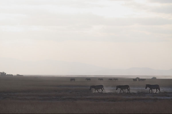 유토이미지 | 36052-0000007