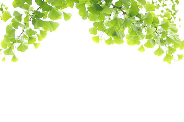 유토이미지 | 36128-0000003