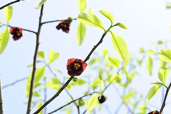 유토이미지 | 36128-0000010