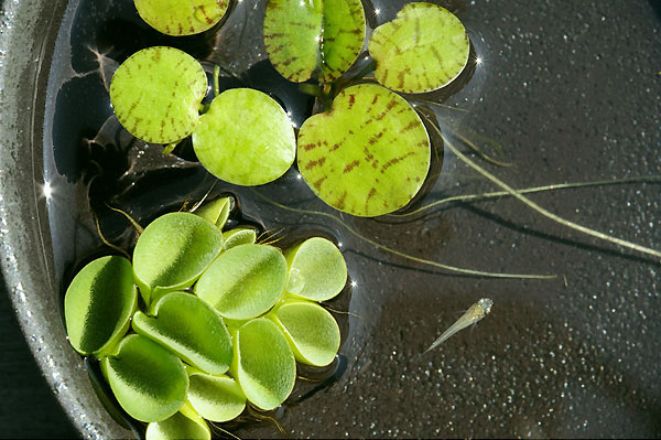 유토이미지 | 36128-0000223