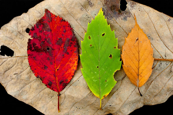 유토이미지 | 36128-0000335