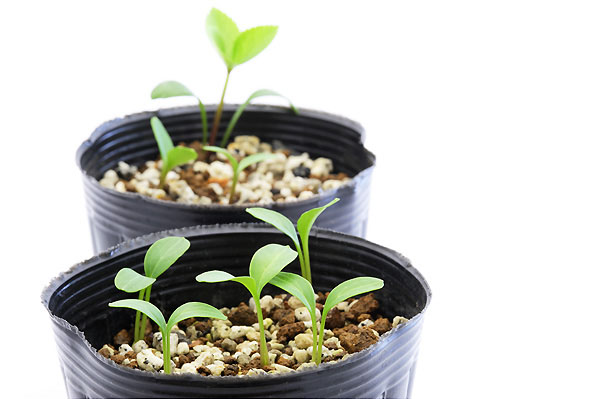 유토이미지 | 36128-0000492