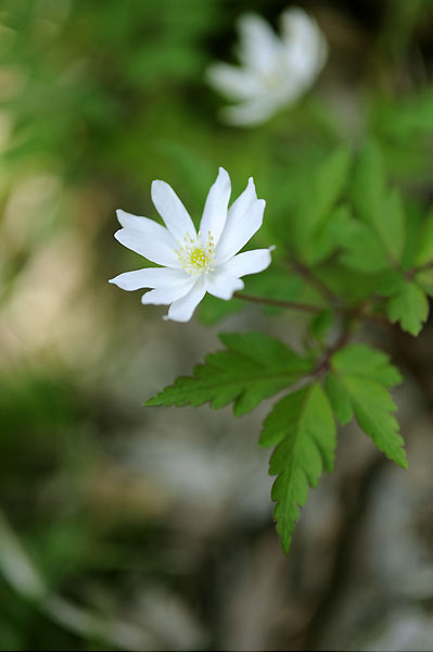 유토이미지 | 36128-0000555