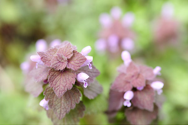 유토이미지 | 36128-0000560