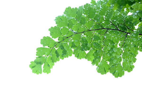 유토이미지 | 36128-0000692