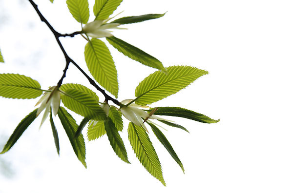 유토이미지 | 36223-0000003