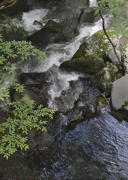 유토이미지 | 36223-0000032