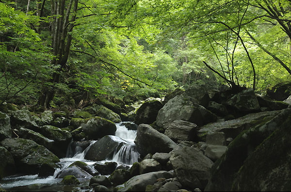 유토이미지 | 36223-0000033