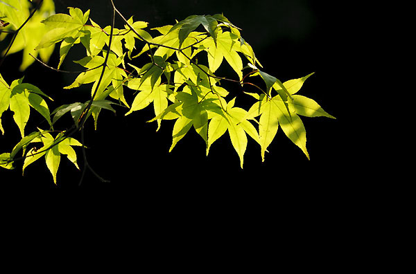 유토이미지 | 36223-0000050