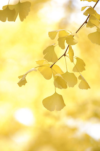 유토이미지 | 36223-0000066