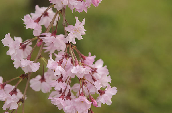 유토이미지 | 36223-0000099