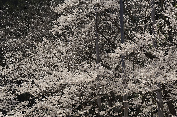 유토이미지 | 36223-0000111