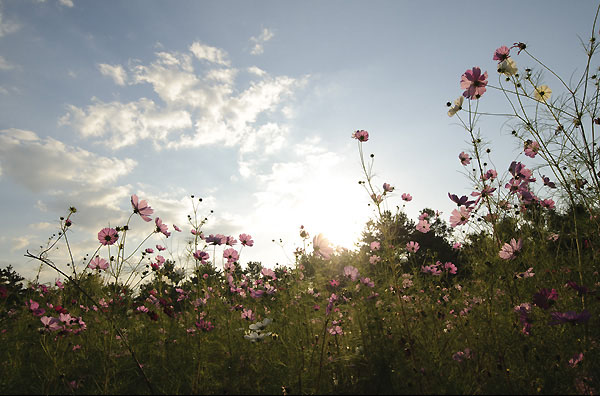 유토이미지 | 36223-0000158