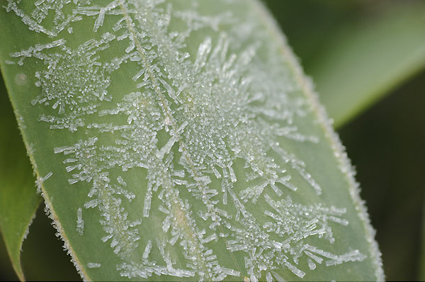 유토이미지 | 36223-0000187