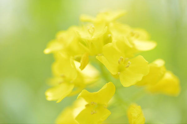 유토이미지 | 36223-0000210