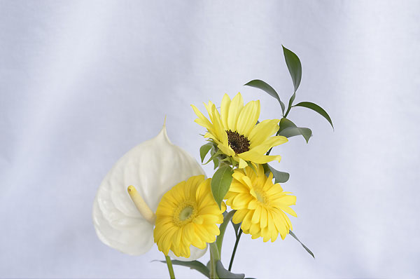 유토이미지 | 36223-0000258