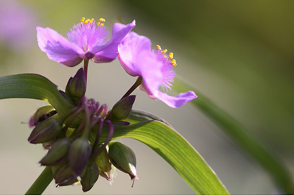 유토이미지 | 36223-0000265