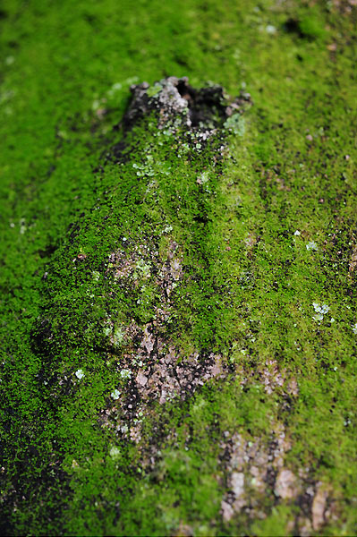 유토이미지 | 36235-0001018