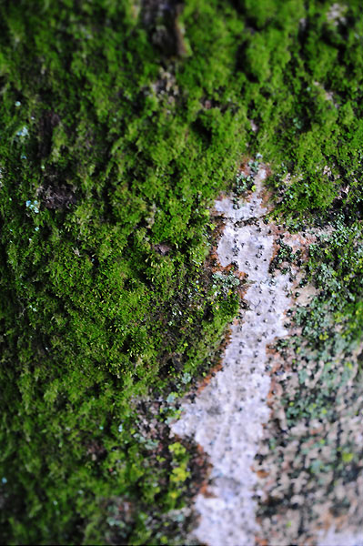 유토이미지 | 36235-0001019