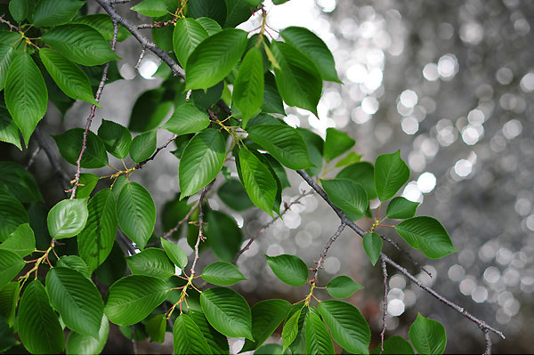 유토이미지 | 36235-0001661