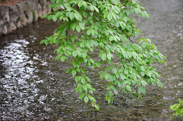 유토이미지 | 36235-0001696