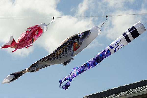 유토이미지 | 36235-0001713