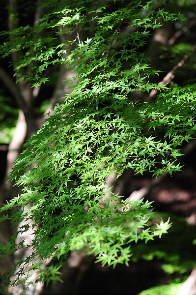 유토이미지 | 36235-0001997