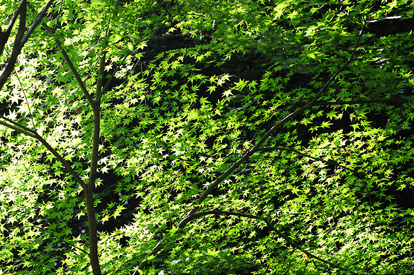 유토이미지 | 36235-0001998