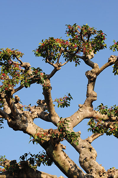 유토이미지 | 36235-0002067