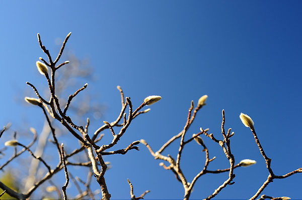 유토이미지 | 36235-0002085