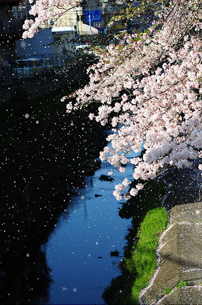 유토이미지 | 36235-0002152