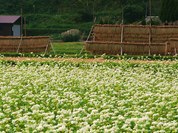 유토이미지 | 36294-0000009