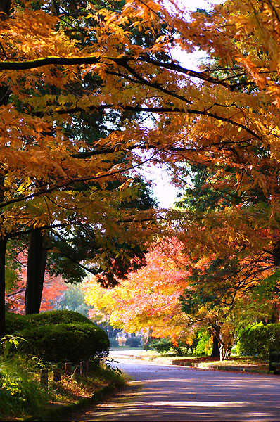 유토이미지 | 36294-0000121