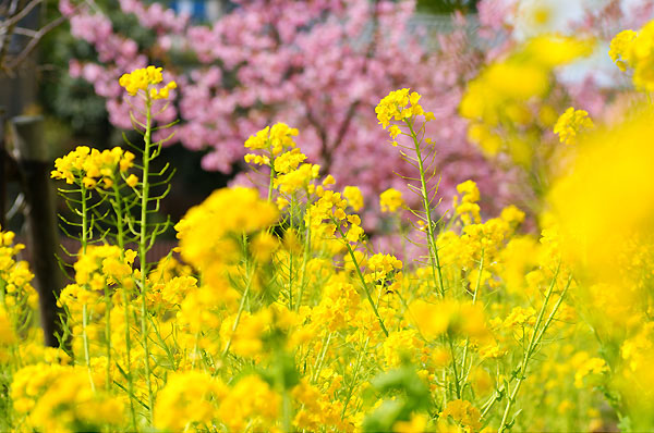 유토이미지 | 36294-0000134