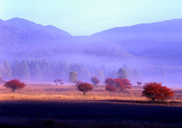 유토이미지 | 36304-0000254