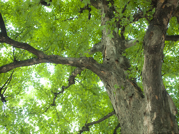 유토이미지 | 36324-0000009