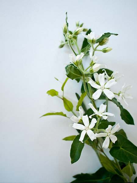 36324-0000020 | 유토이미지 | 상세페이지 | 베이직샵 | 16078435