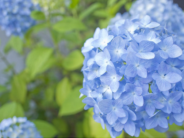 유토이미지 | 36324-0000037