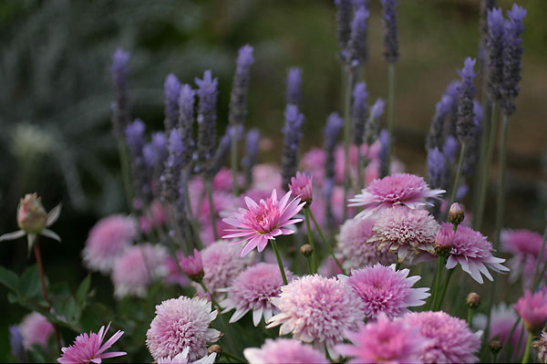 유토이미지 | 36328-0000003