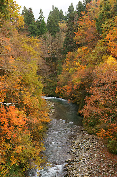 유토이미지 | 36336-0000445