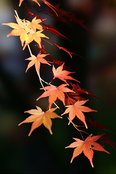 유토이미지 | 36336-0000468