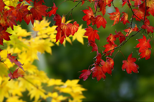 유토이미지 | 36336-0000481