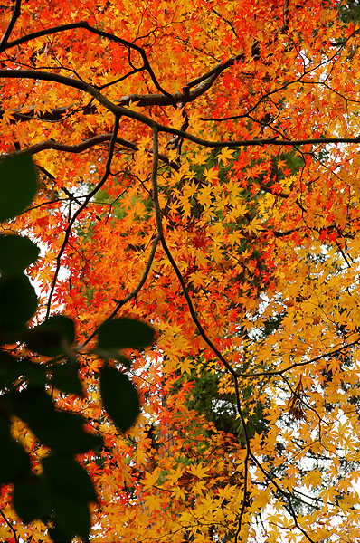 유토이미지 | 36336-0000508