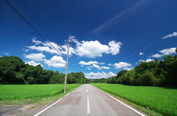 유토이미지 | 36355-0000007