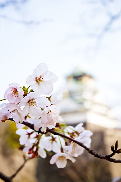 유토이미지 | 36370-0000020